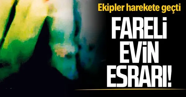 AFAD ve UMKE ekipleri fareli evin gizemini çözmek için harekete geçti! AFAD ve UMKE ekipleri fareli evin gizemini çözmek için harekete geçti!