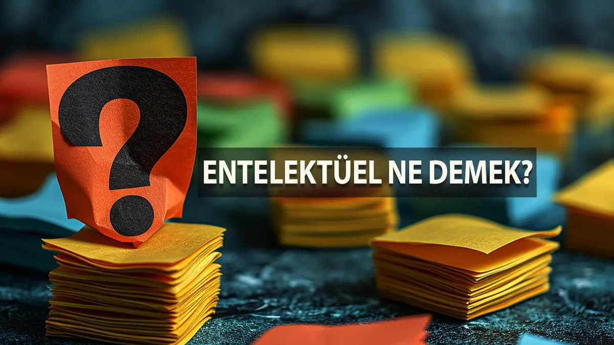 Entelektüel Ne Demek? Entelektüel Kelimesi TDK Sözlük Anlamı Nedir?