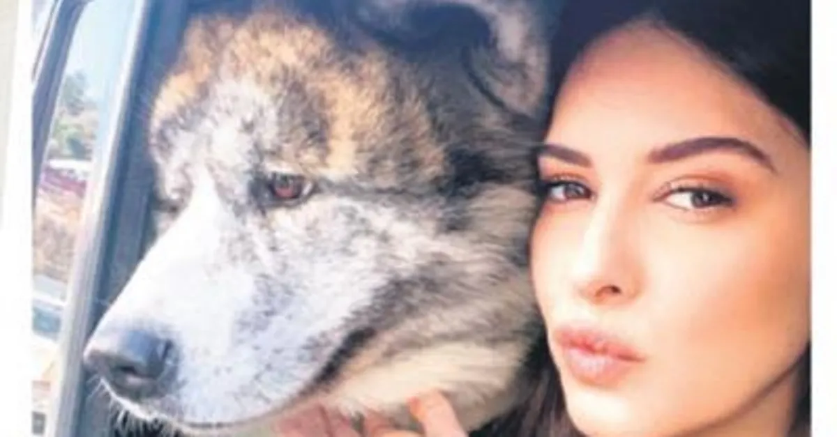 Ceylan Çapa yine hayvan sevgisini konuşturdu