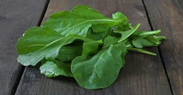 Mutluluk rokada - Takvim