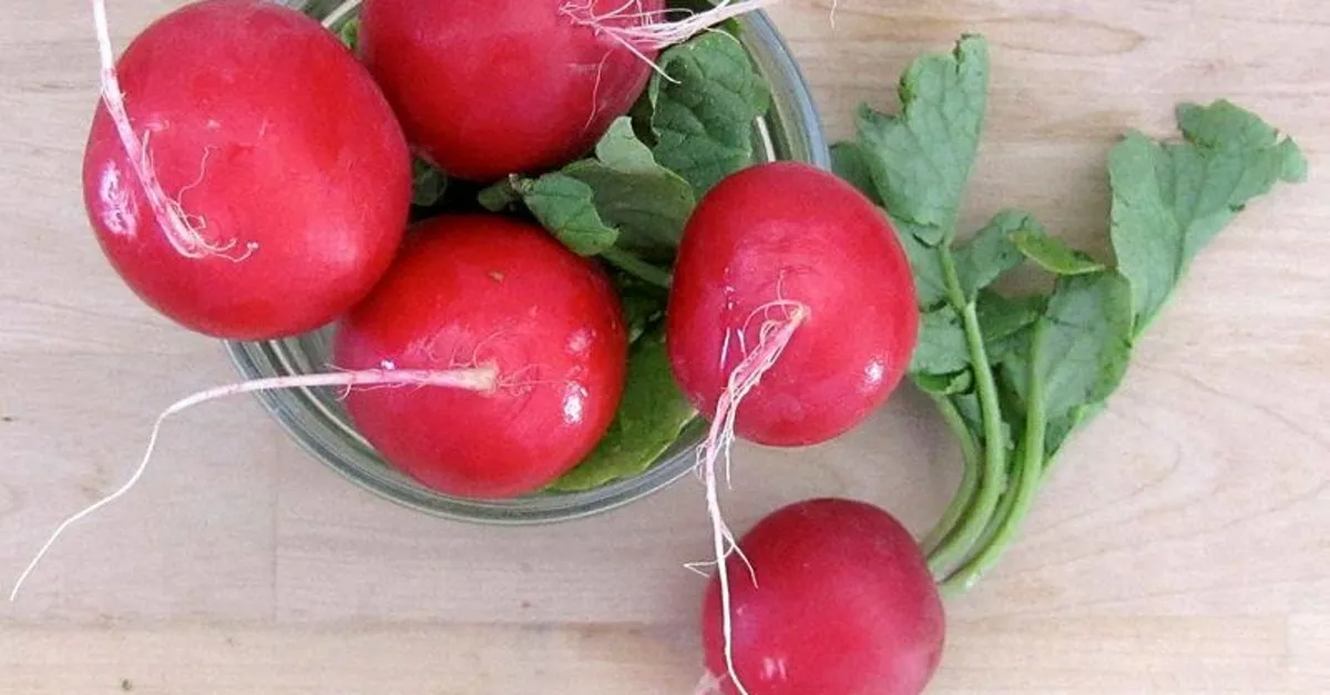 Turp gibi olun! Yaşlanmayı geciktiriyor...